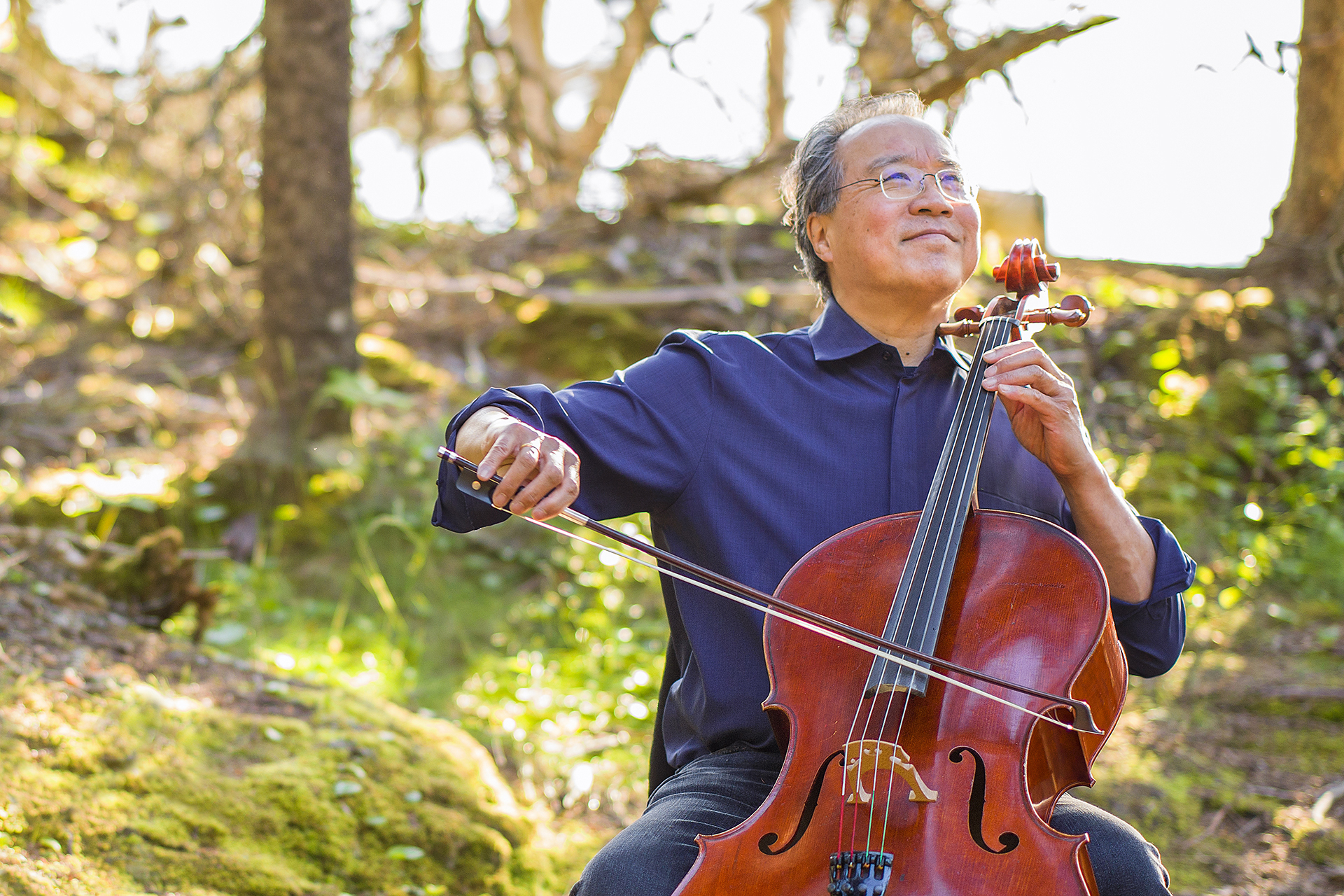 Yo-Yo Ma: Age, Net Worth, Married Life, Height, Weight, Salary, and ...